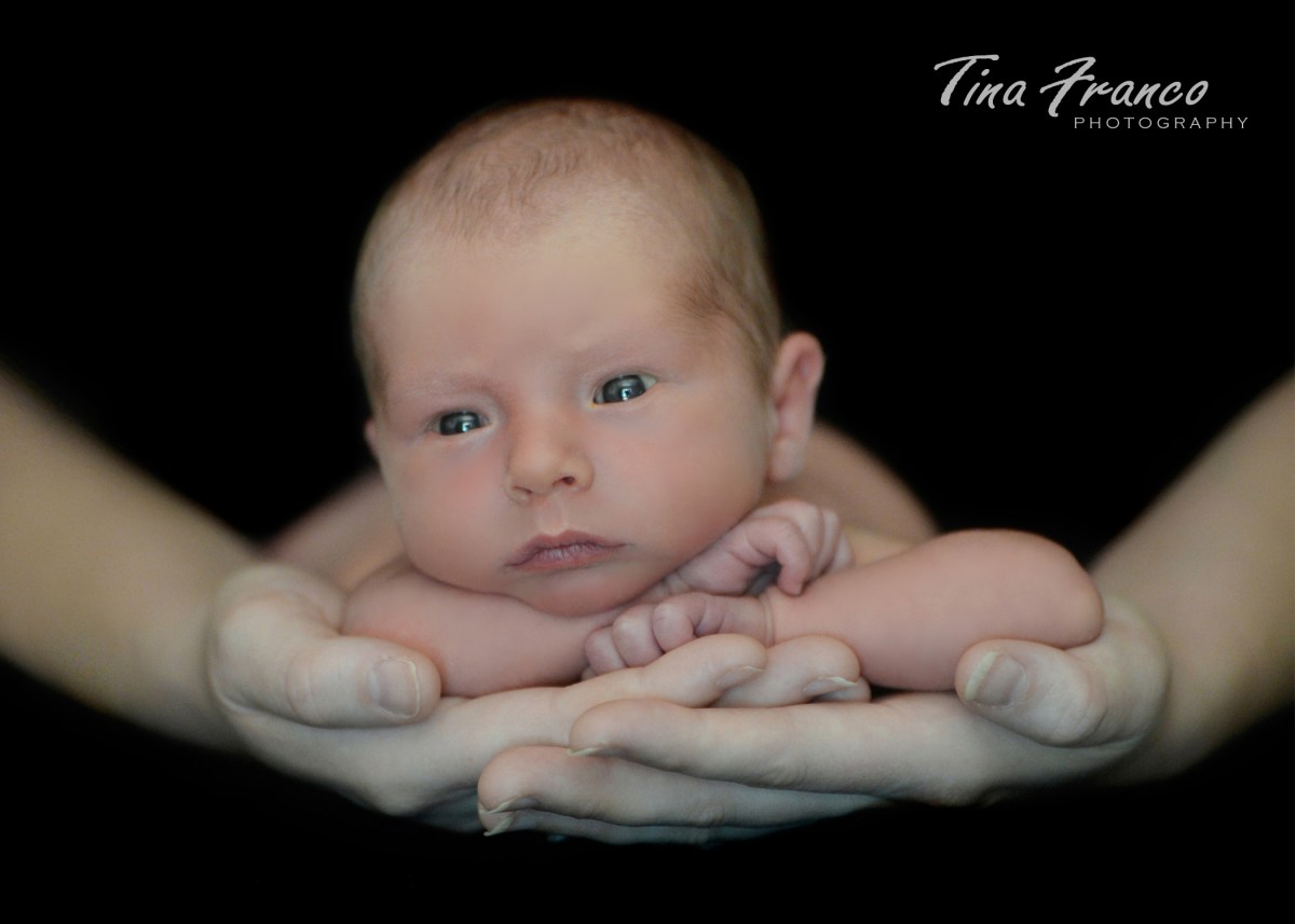 Introducing Rhys Breckenridge – Tina Franco Photography